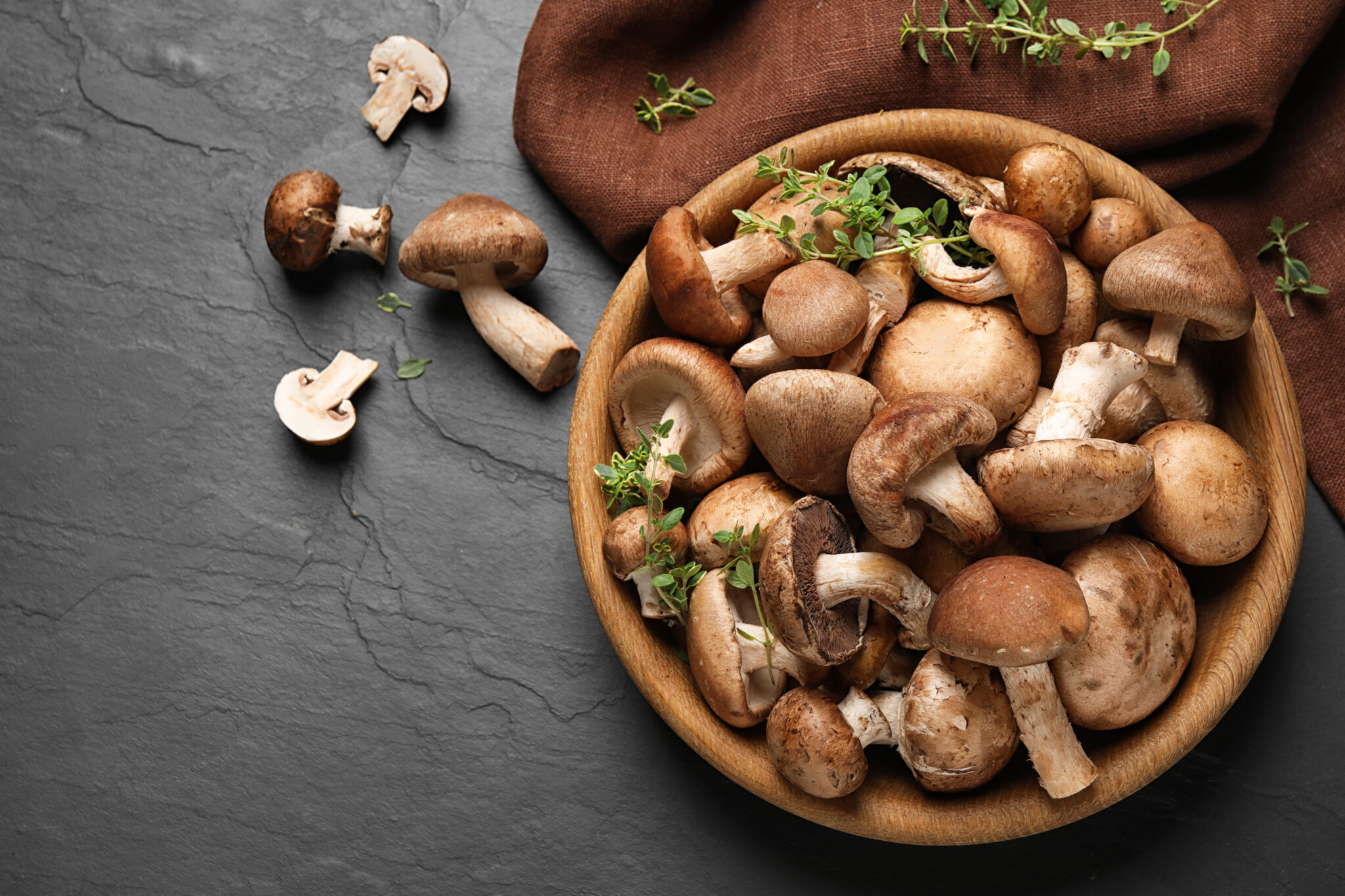 Petition Summary: Fresh Mushrooms from Canada | International Trade ...